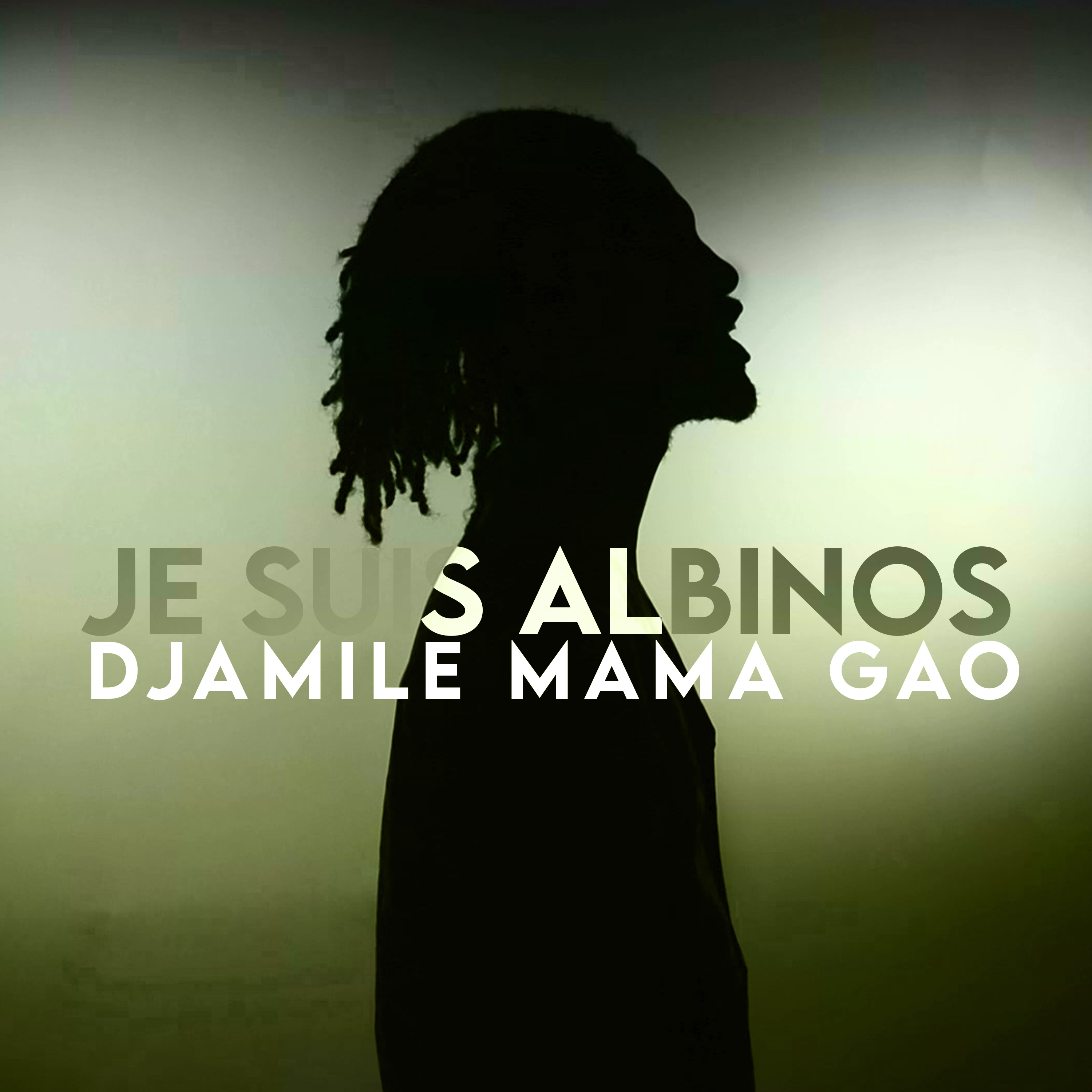 Voici pourquoi découvrir la campagne « Je suis Albinos » du slameur D ...