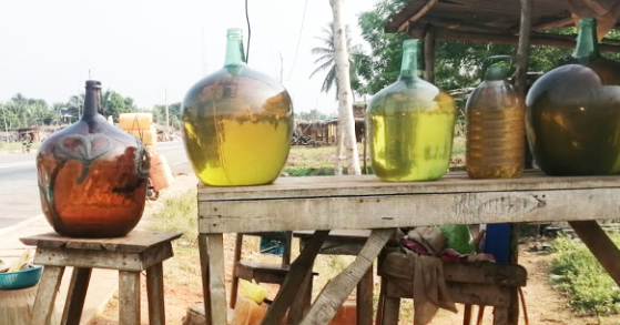 L’essence Kpayo fait des dégâts à Sémè Kraké - 24 HEURES AU BENIN